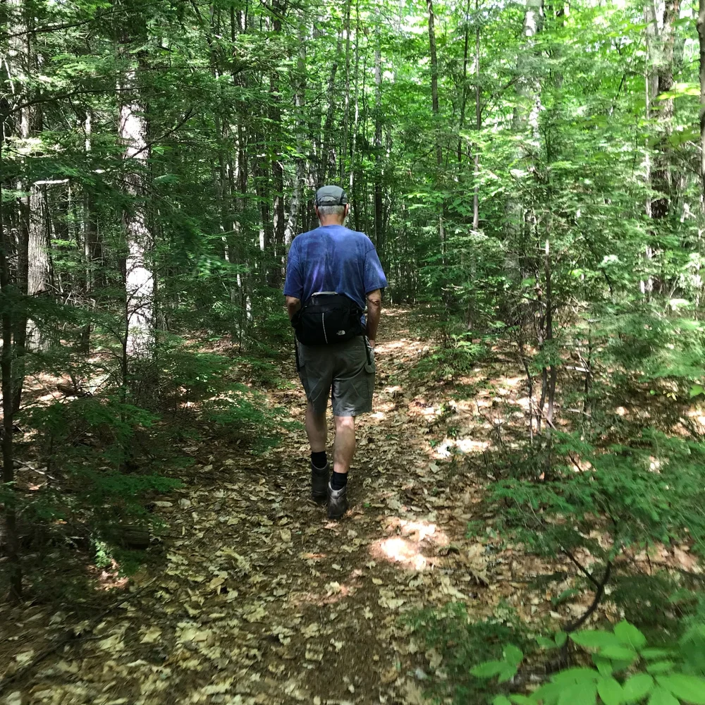 What is conservation? — Chocorua Lake Conservancy