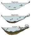 Life Cycle of a Lake — Chocorua Lake Conservancy