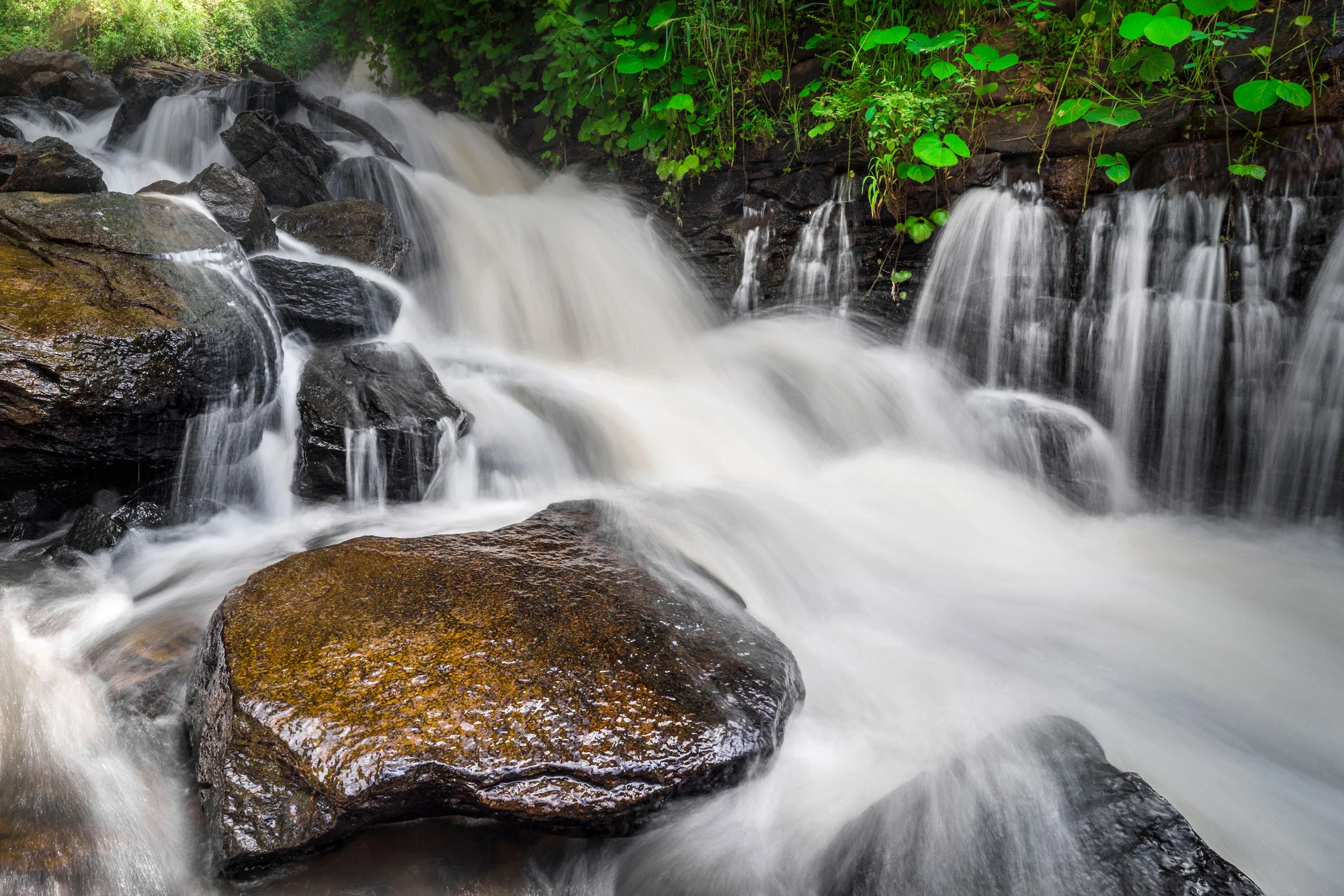 Hamilton Mill, GA Orthodontics Office