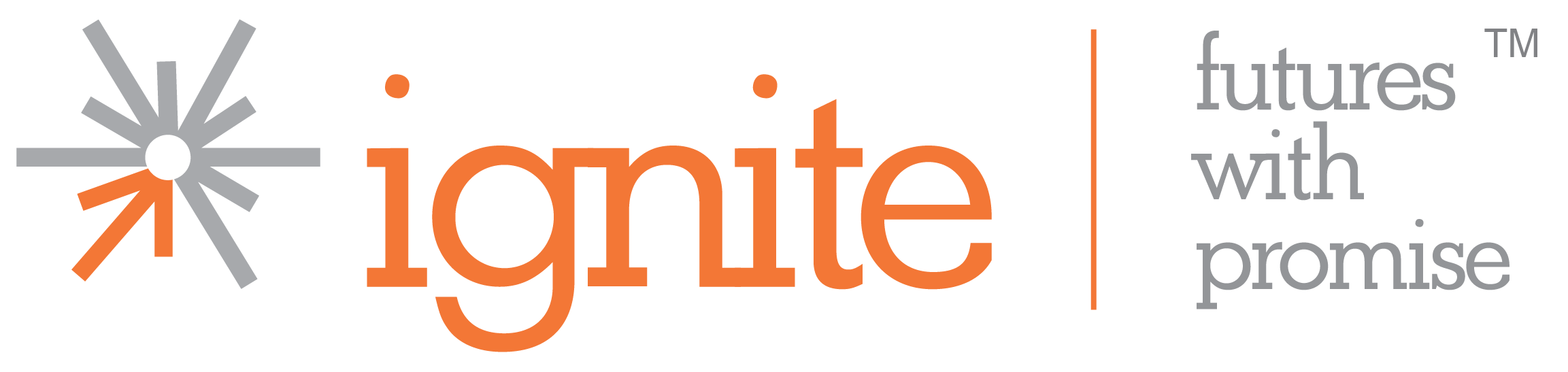Deloitte Impact Day Volunteers Aim to Make a Difference at Ignite — Ignite