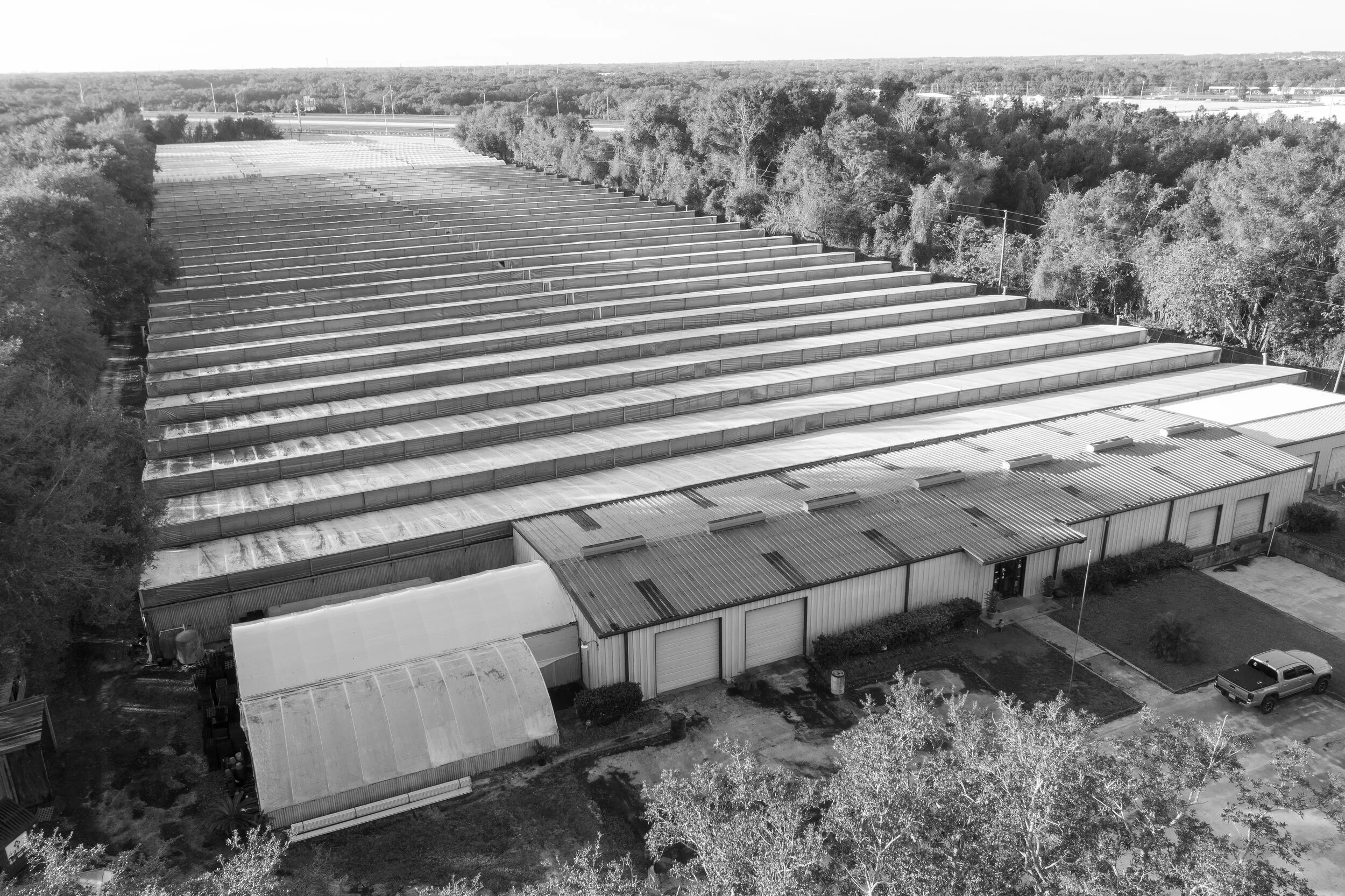 Our History — Florico Foliage