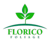 Florico Foliage