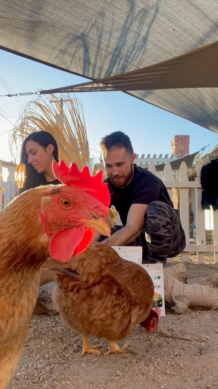 Plant Strength | Vegan Activism & Coaching