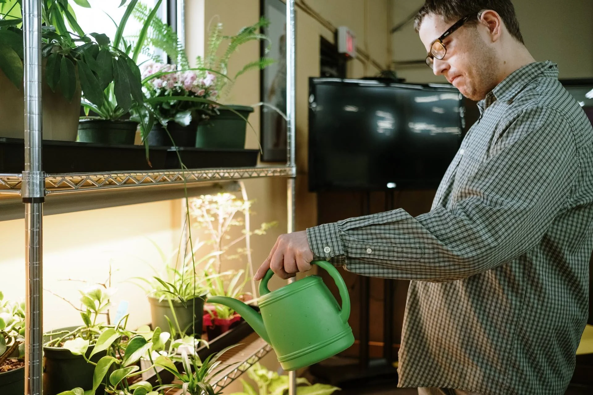 Referral for Services — MSS