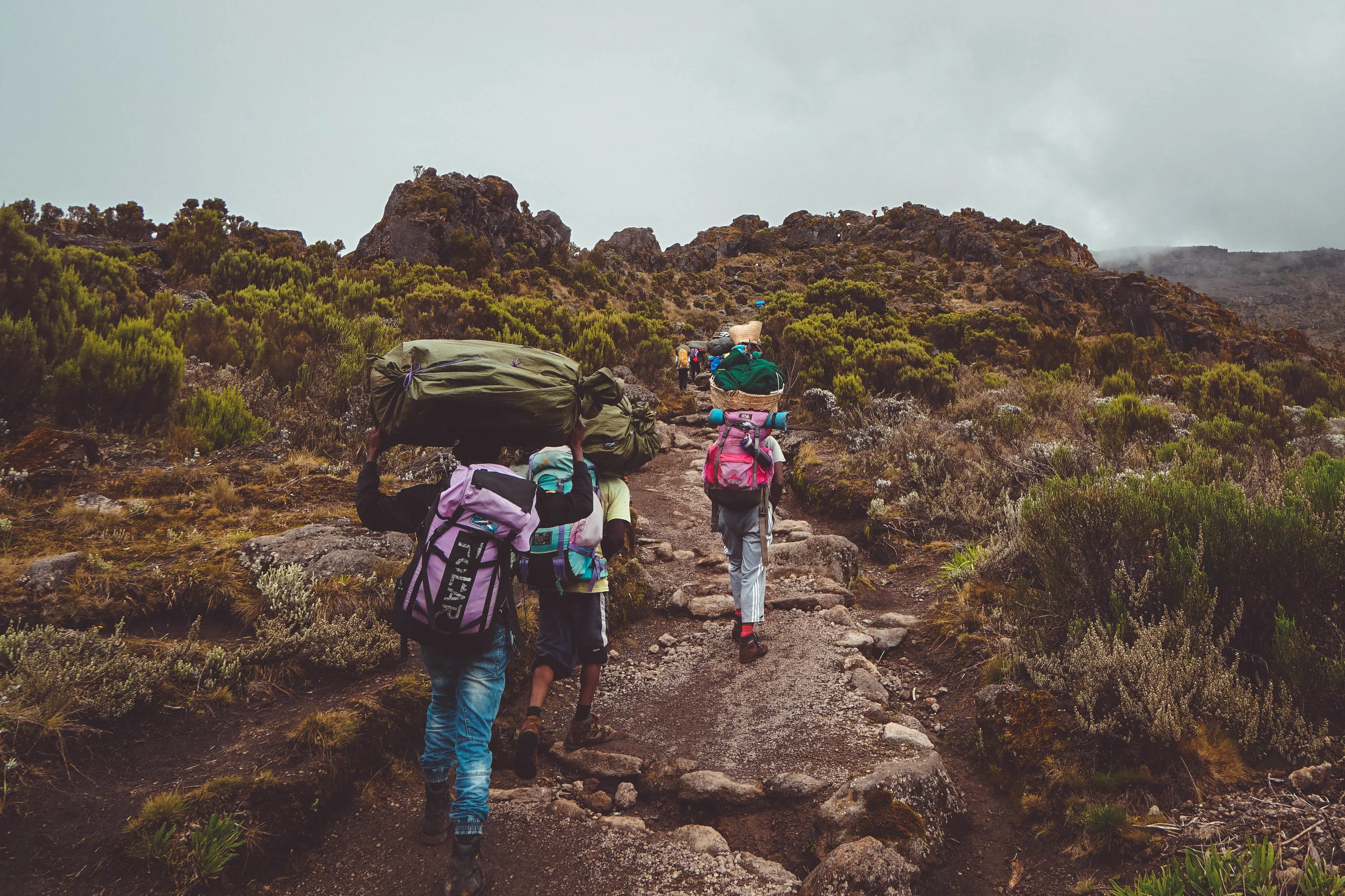 Kilimanjaro — Ax Ventures