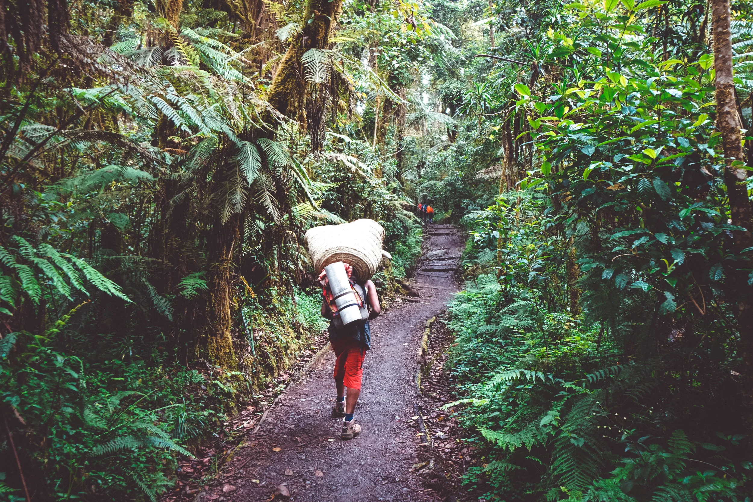 Kilimanjaro — Ax Ventures