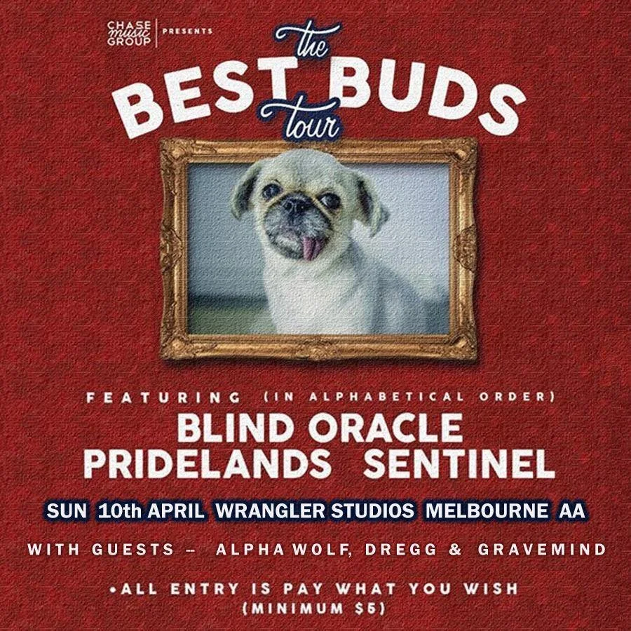 Gallery — Alpha Wolf