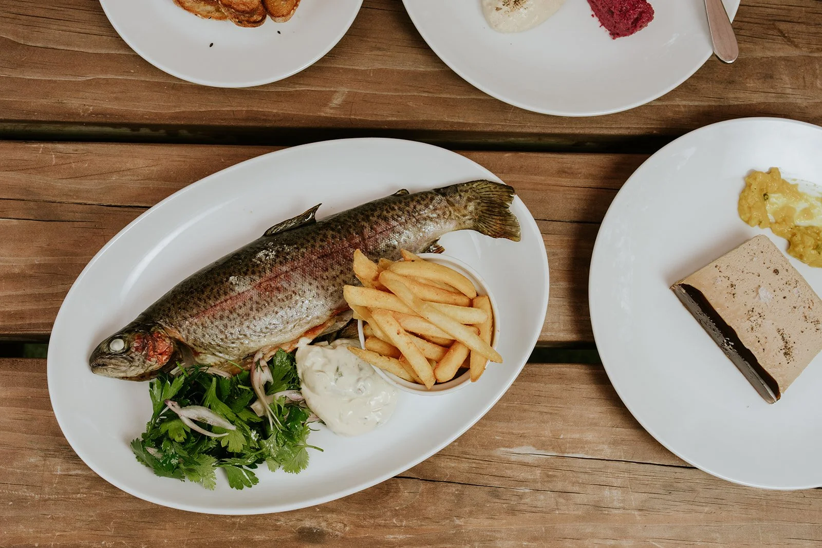 Gallery — Bundanoon Hotel