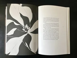 Magazine — Blue Sky Black Sheep
