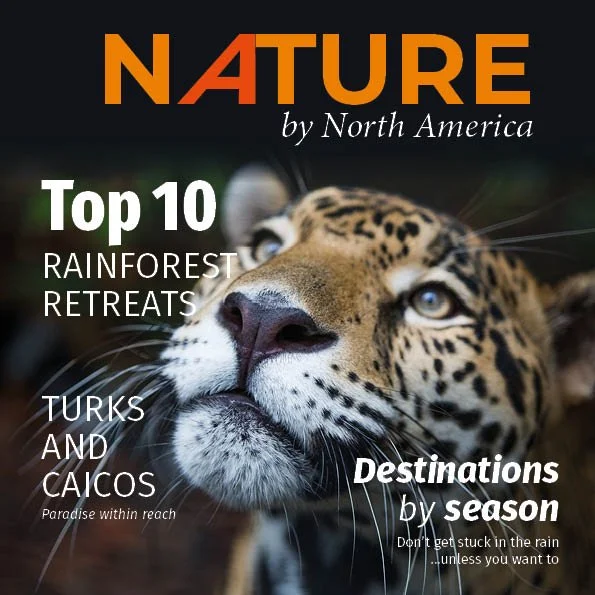 About — inkslinger.no