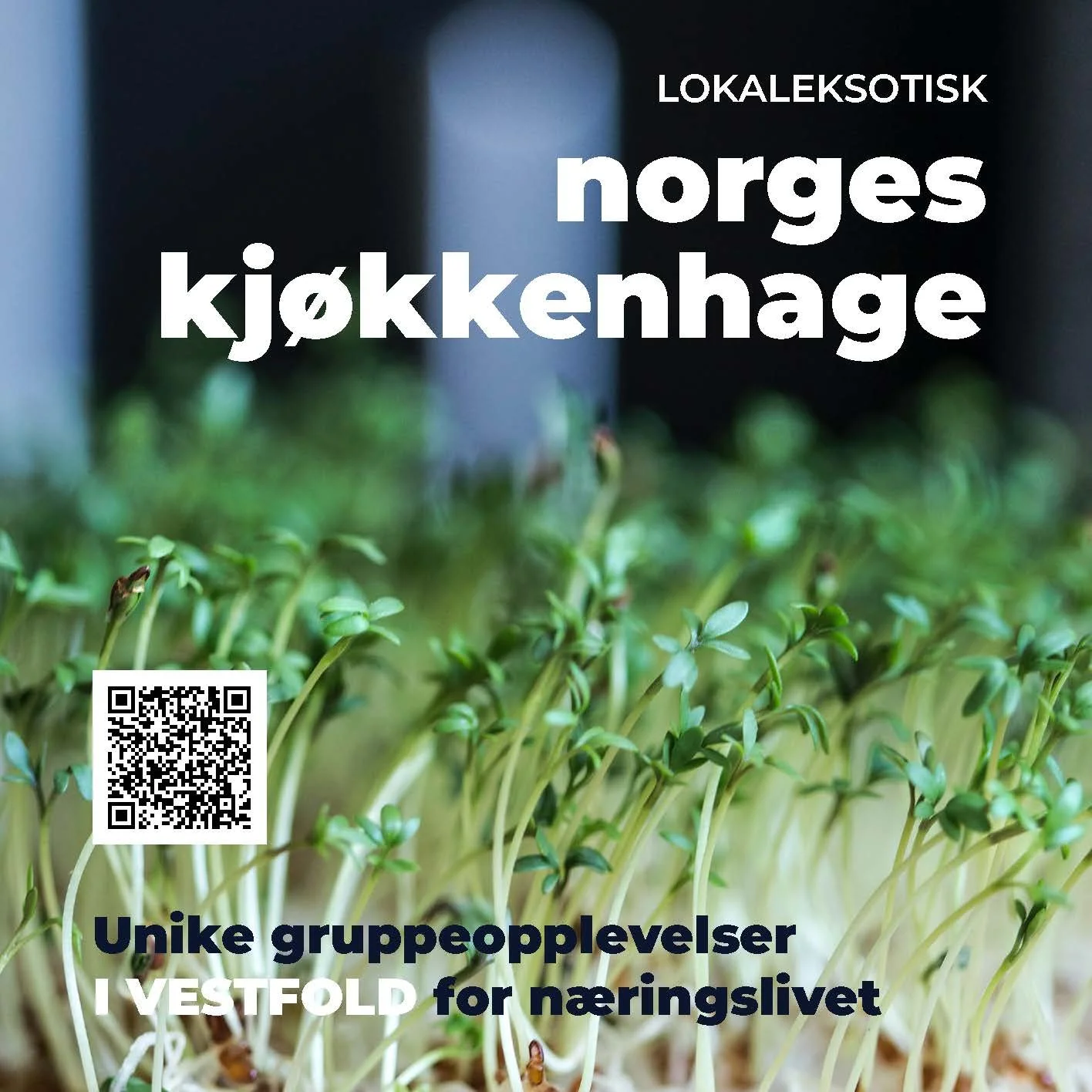 About — inkslinger.no