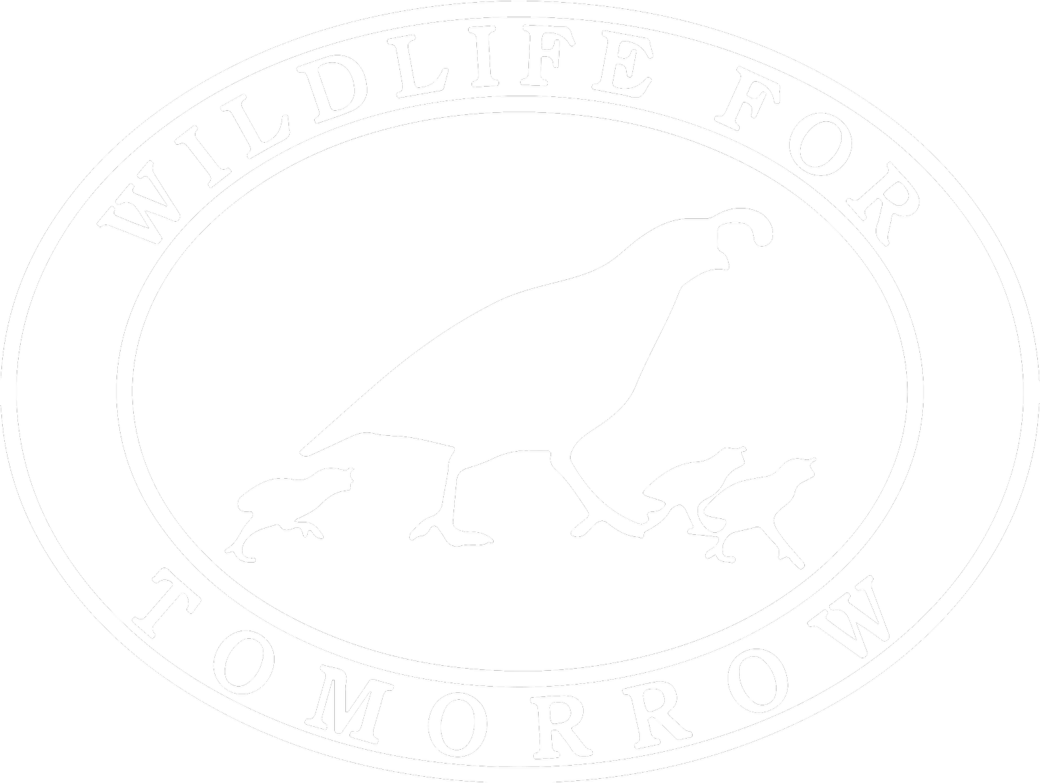 Contact Wildlife For Tomorrow contact-wildlife-for-tomorrow