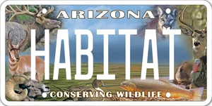 Wildlife for Tomorrow