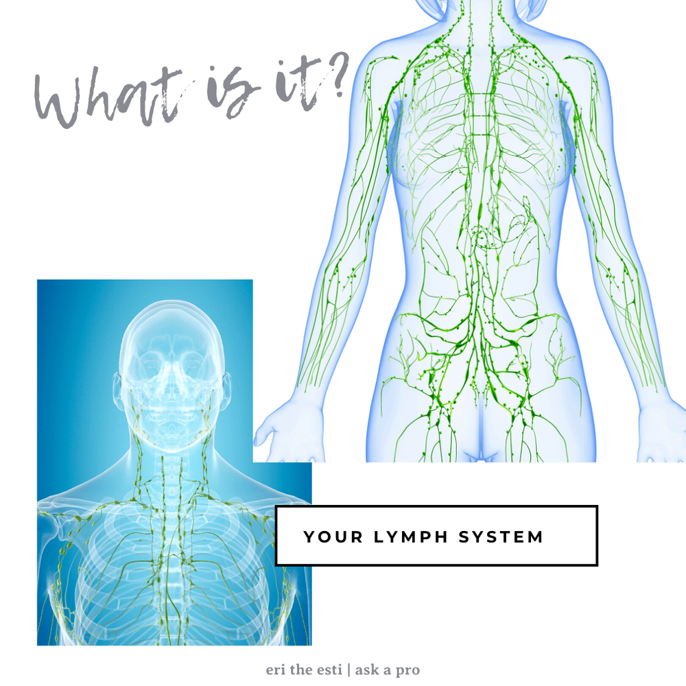 Ask A Pro: The Basics Of Lymphatic Drainage – Eri The Esti