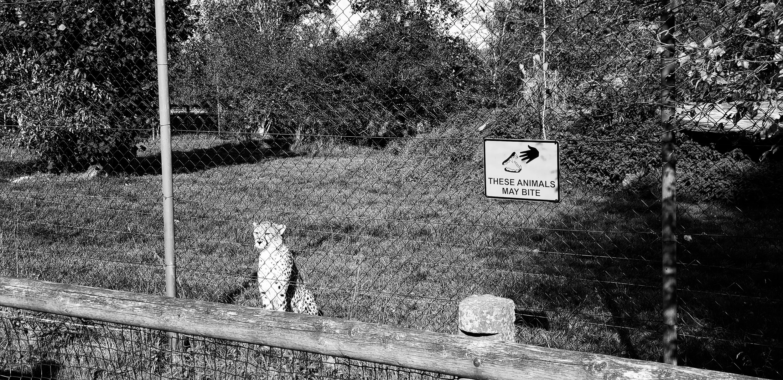 Prints — Robert Collins Photography