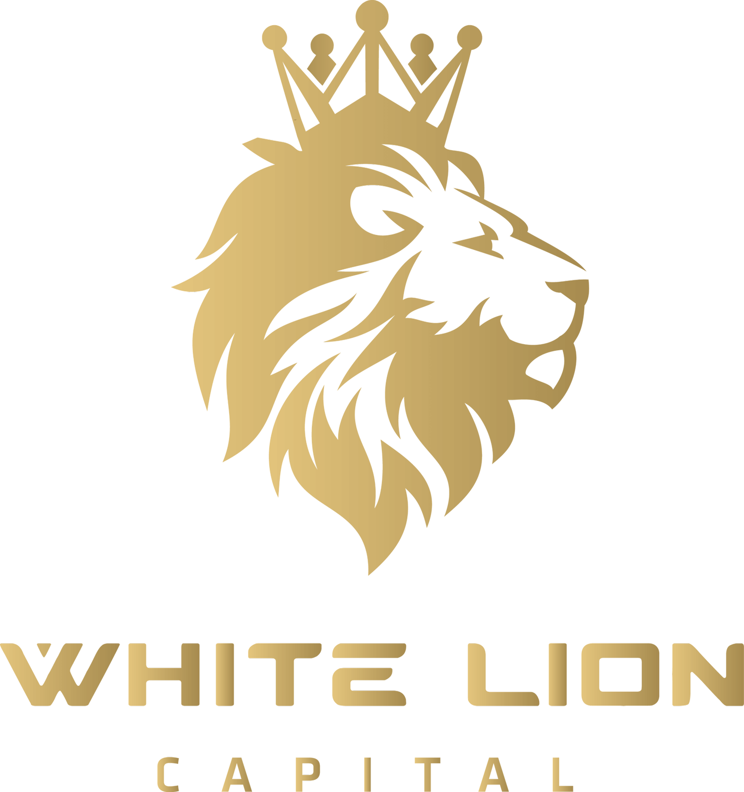 Team — White Lion Capital