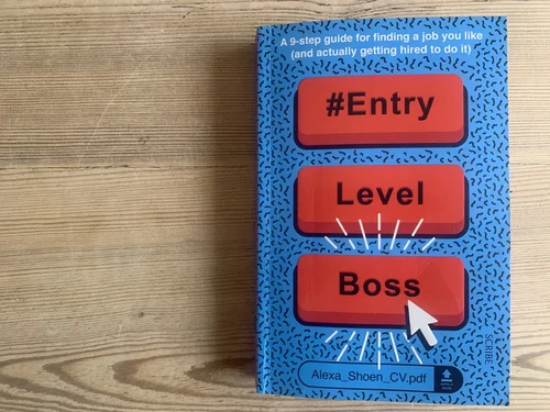 Job Hunting? Entry Level Boss Is The New Bible — Cat Sims