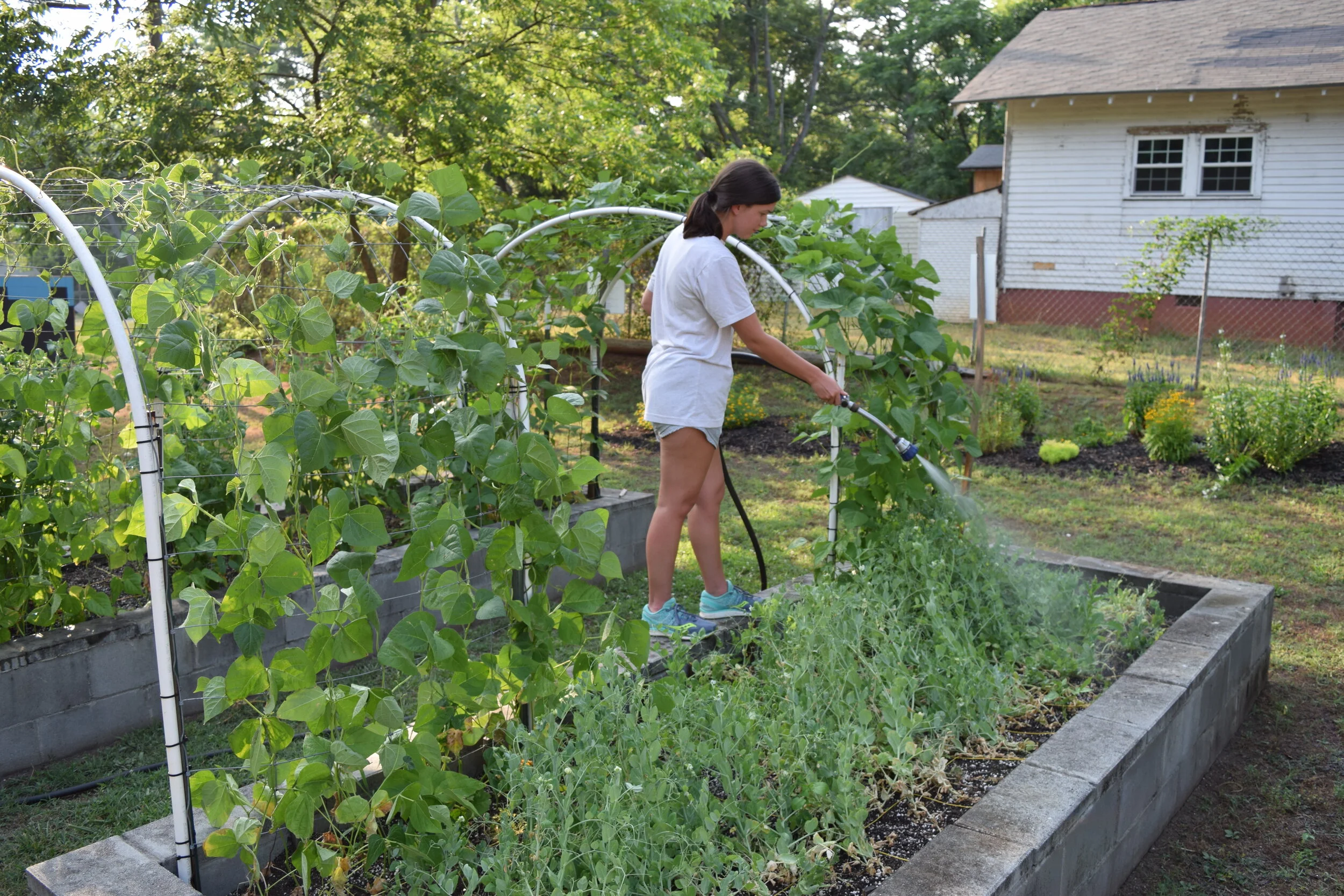 What We Do — The LOT Project