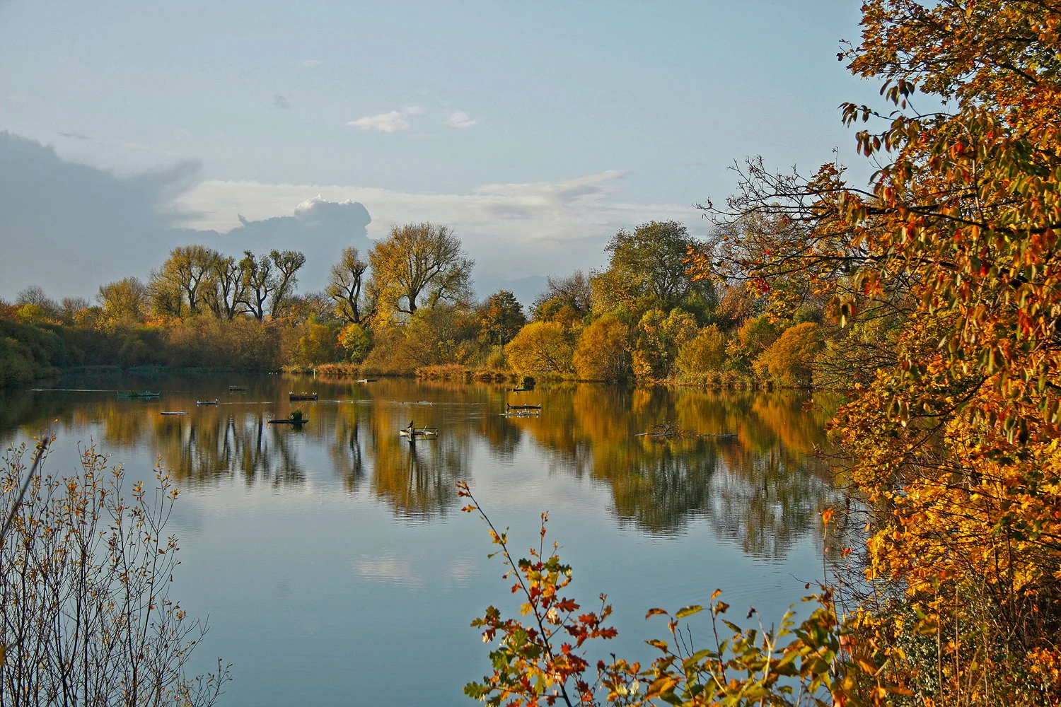 Leg o' Mutton Reservoir — Barnes Community Association