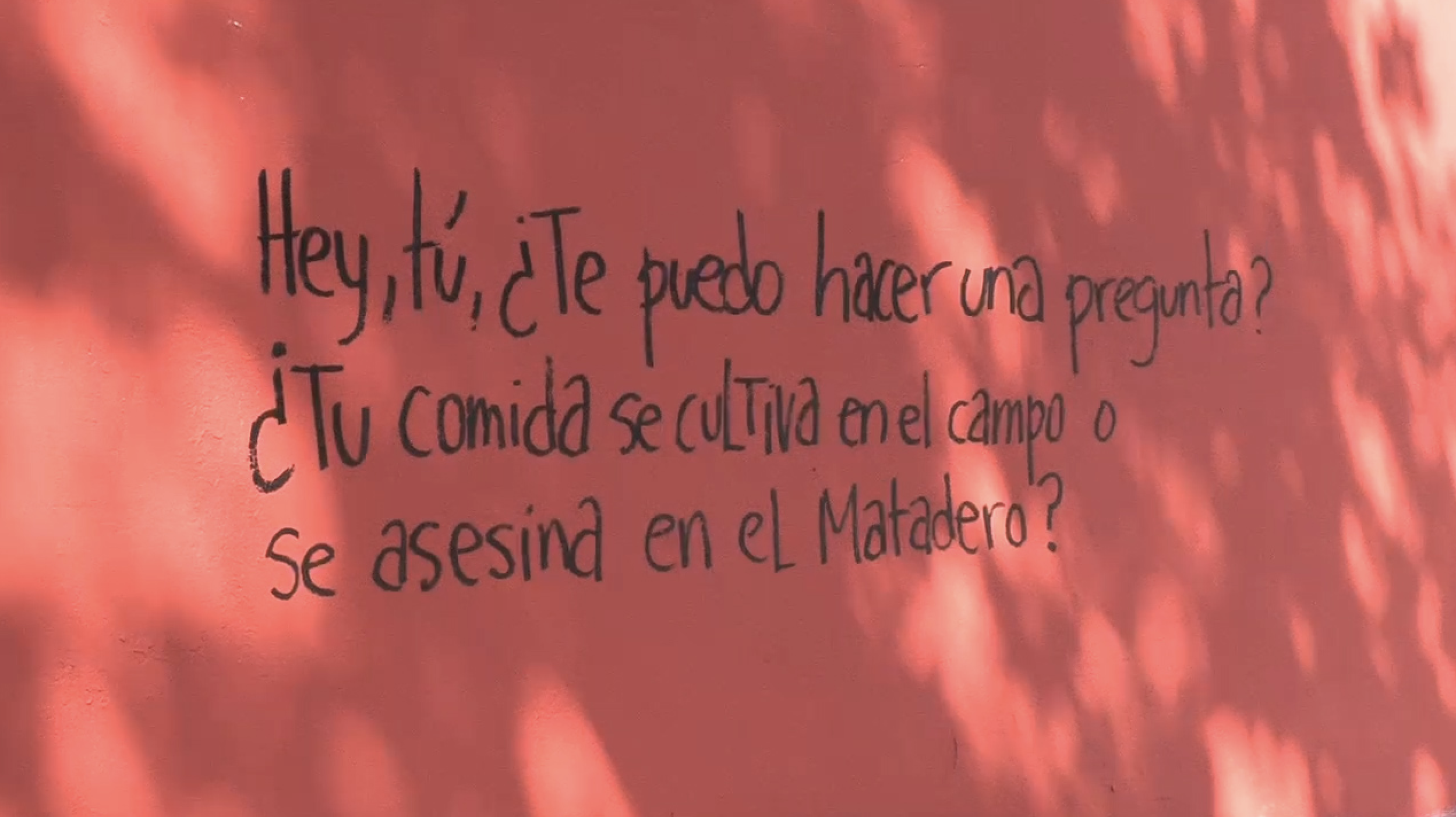 La Minuta PM: Decretan arresto domiciliario total a “profesor del ...