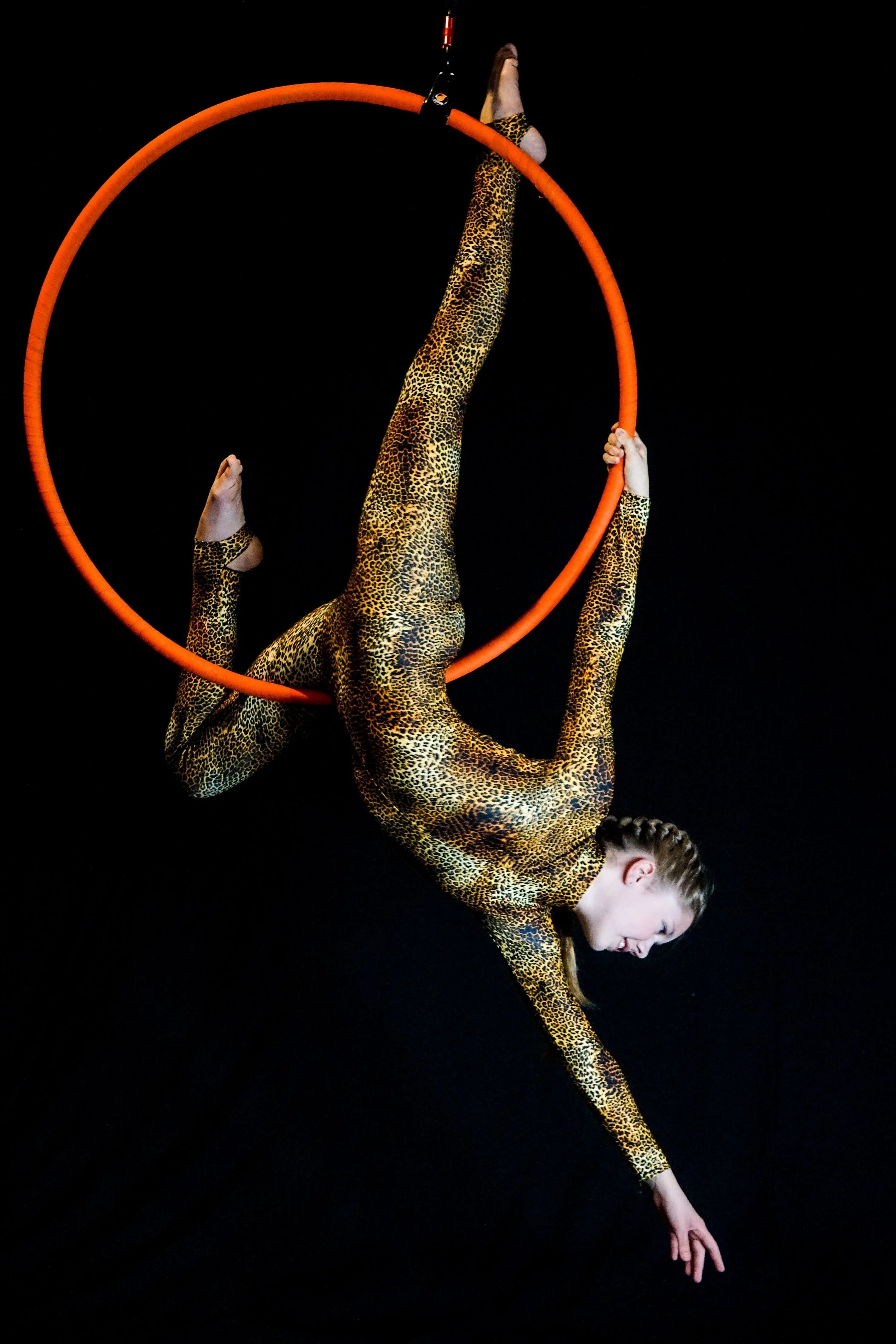 northern heights dance & aerial Northern Heights Dance & Aerial