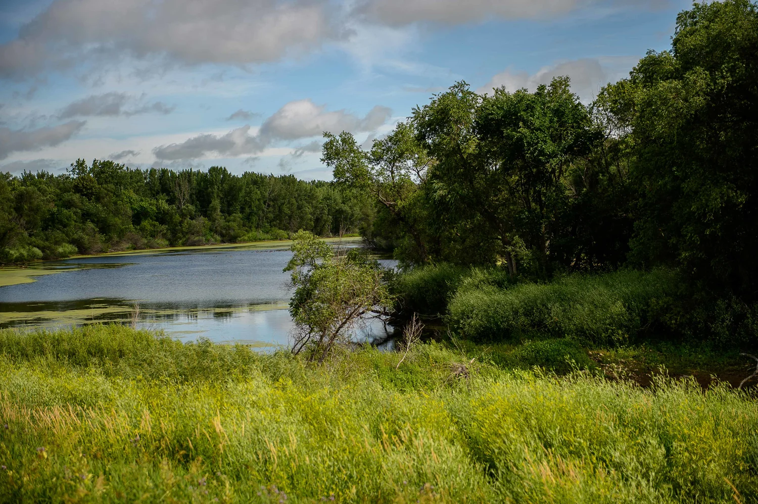 Manitoba Forage & Grassland Association-MFGA Aquanty Project -decision ...