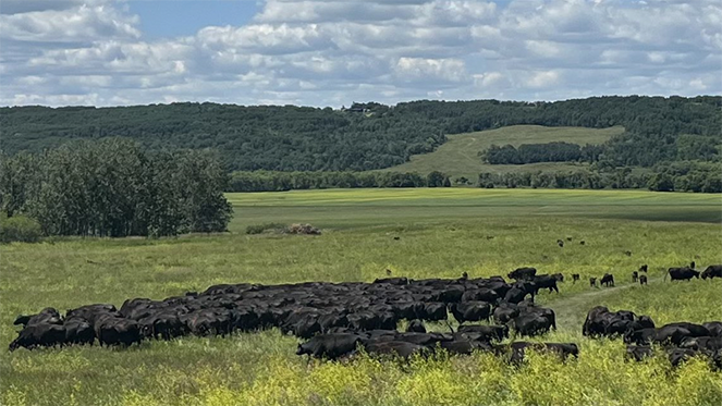 Manitoba Forage & Grassland Association-Regen Ag Conference