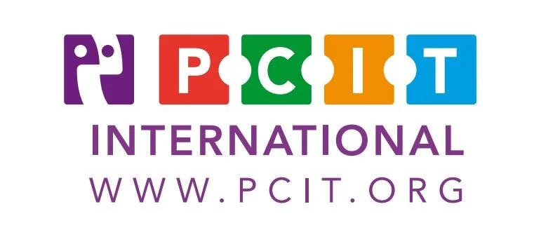 One-on-One Parent Coaching, Group Seminars, Parent-Child Interaction ...