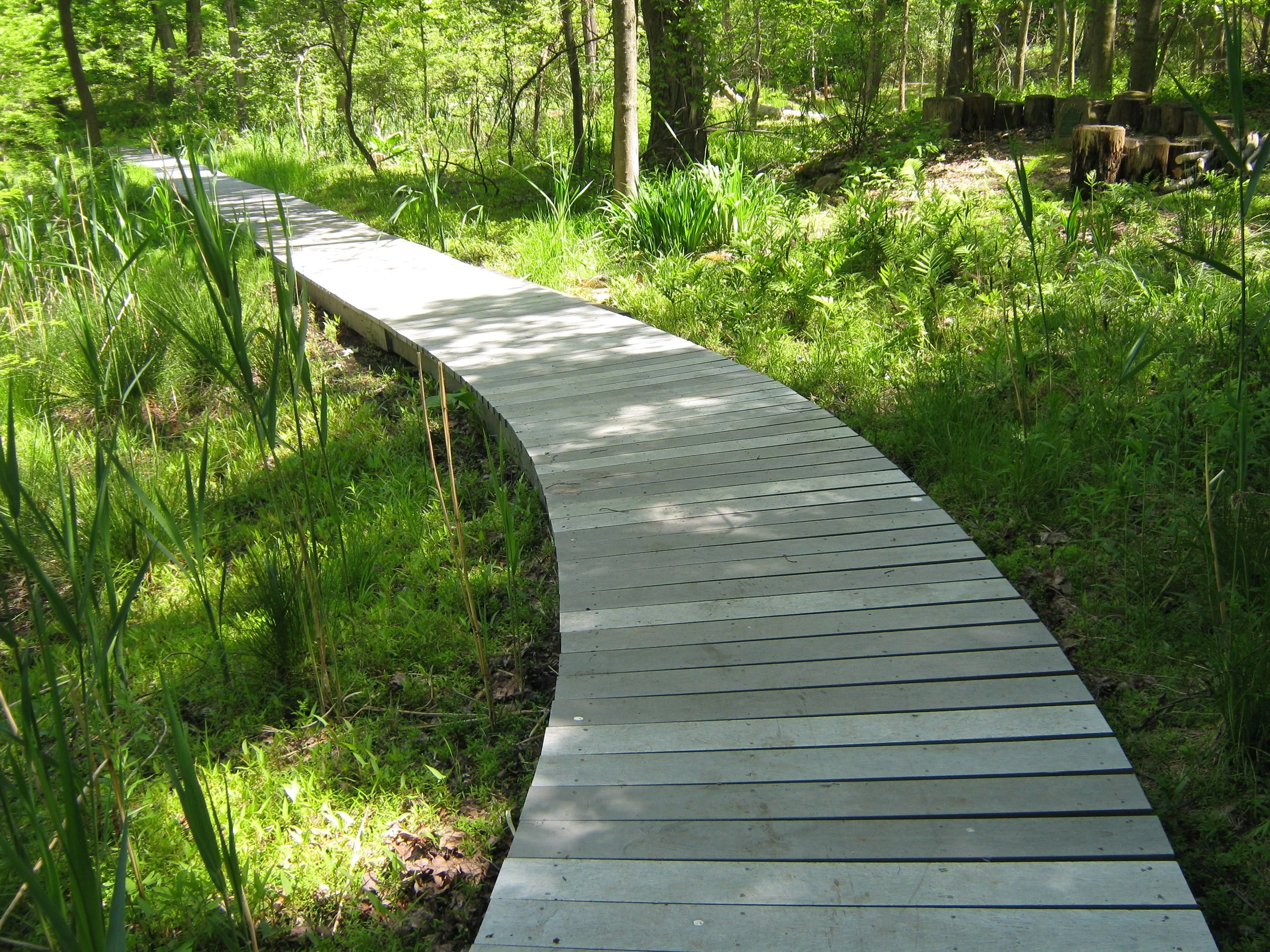 Past Projects — Croton Arboretum