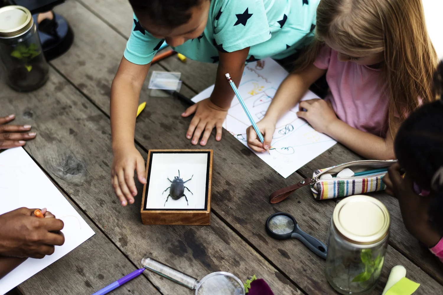 Field Trips — Strawberry Hill