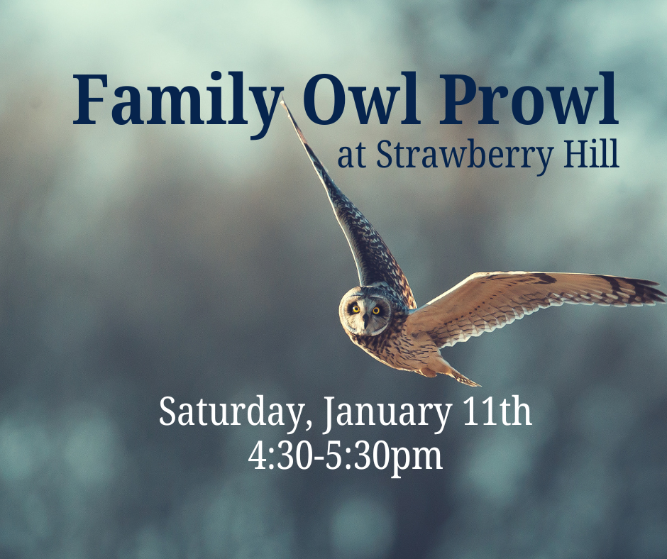 Upcoming Events — Strawberry Hill