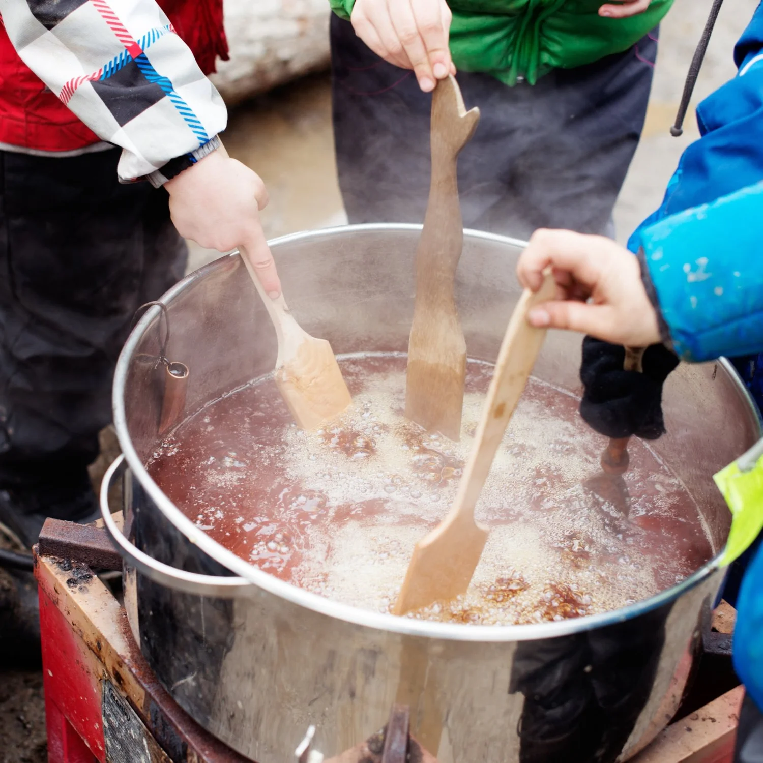 Field Trips — Strawberry Hill