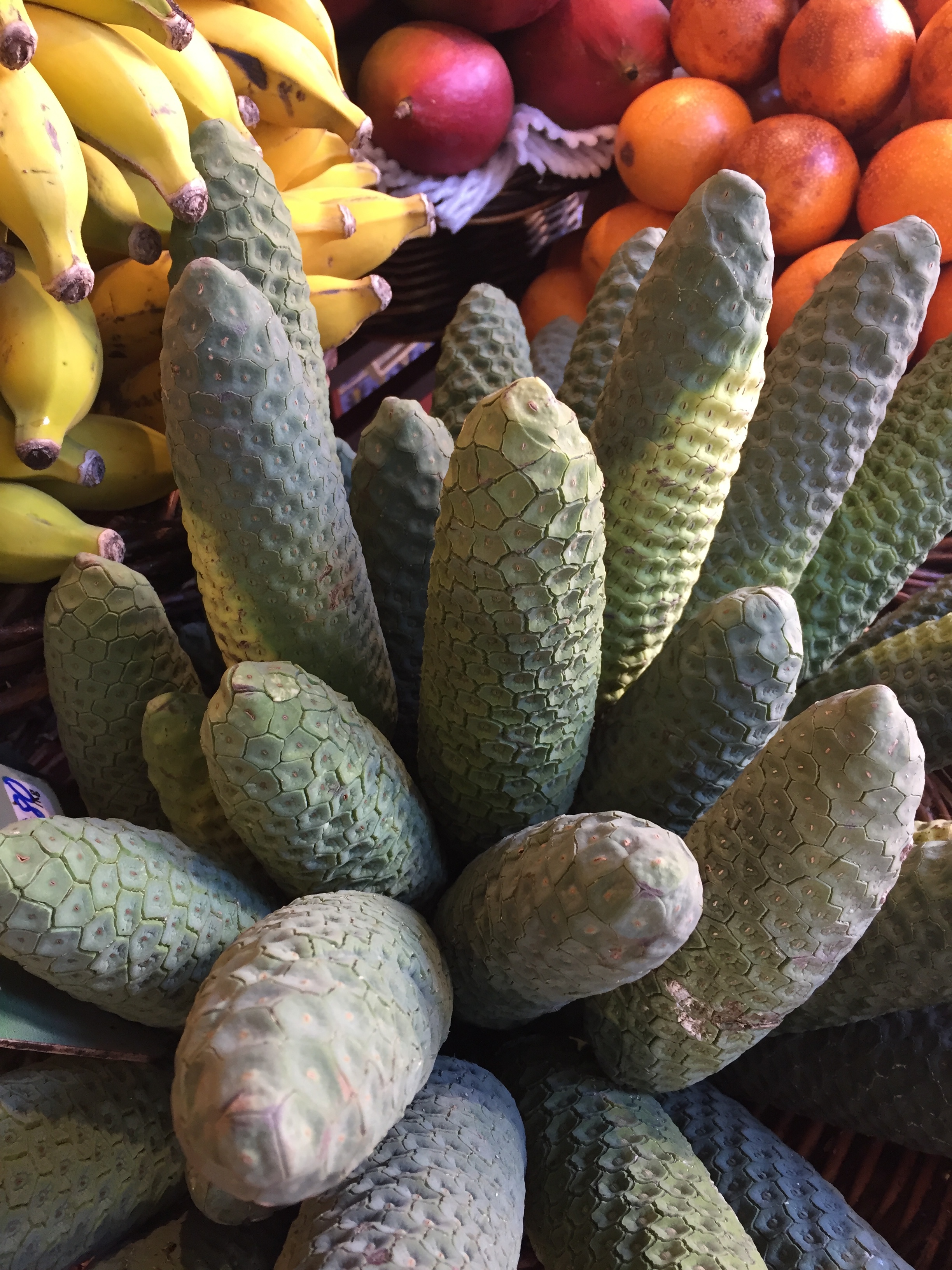 Madeira, paradise island — Places of Charm