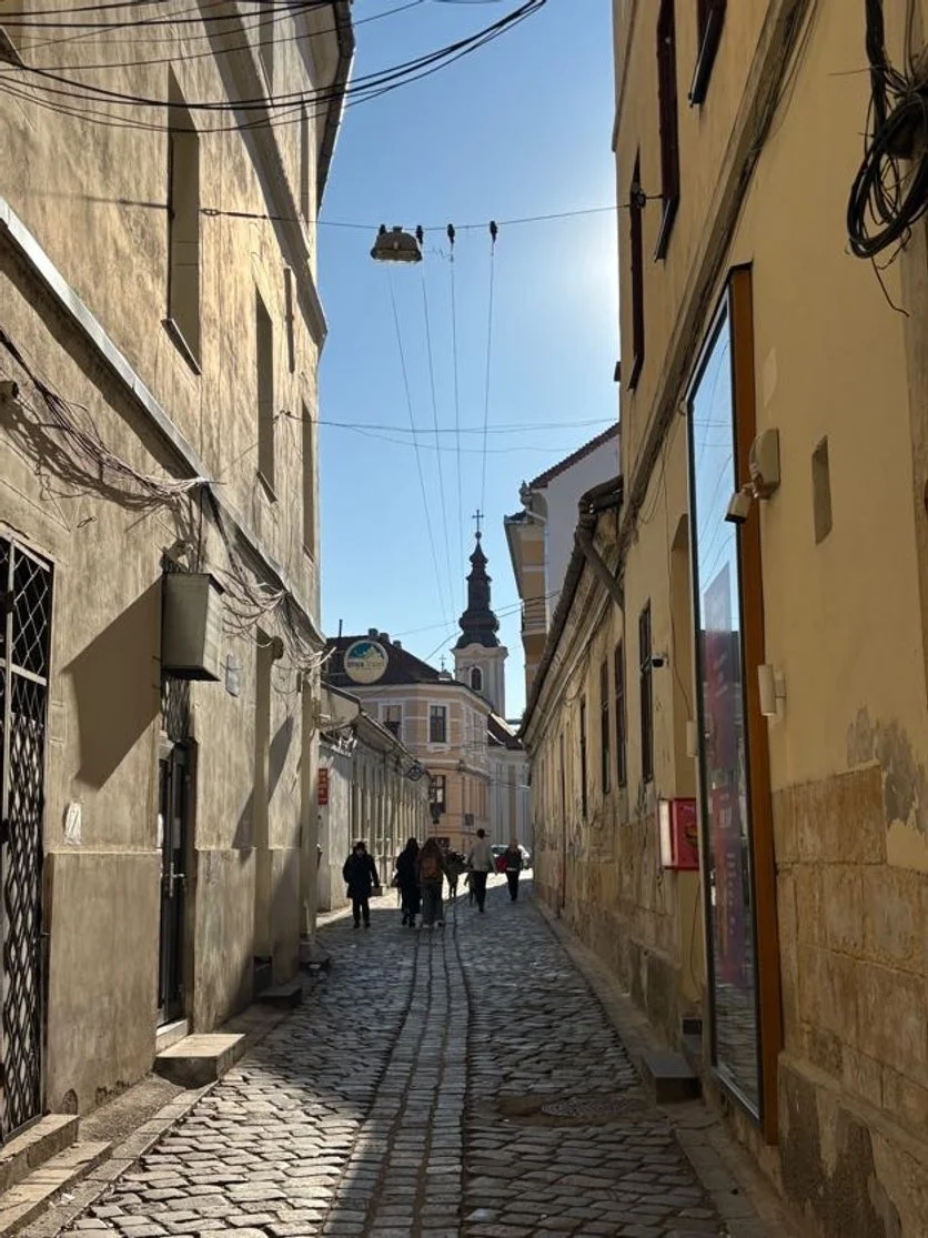 Top things to see and to do in Cluj-Napoca, the heart of Transylvania ...