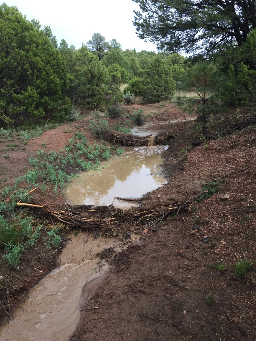Check Dams: A Simple Method with Compound Results — San Isidro Permaculture