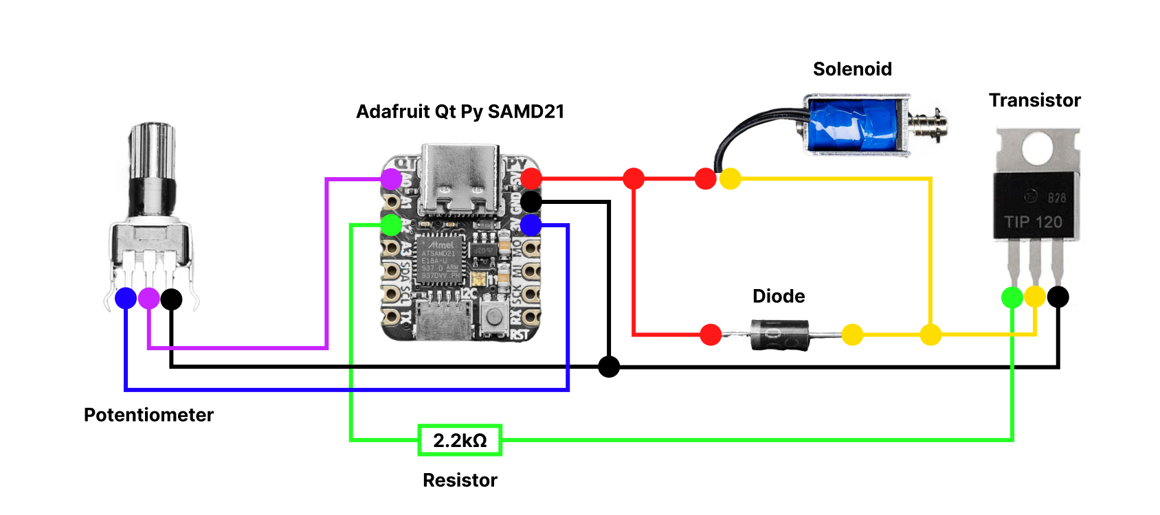 Memory Nail Tutorial — Hybrid Body Lab