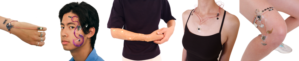 SkinLink — Hybrid Body Lab