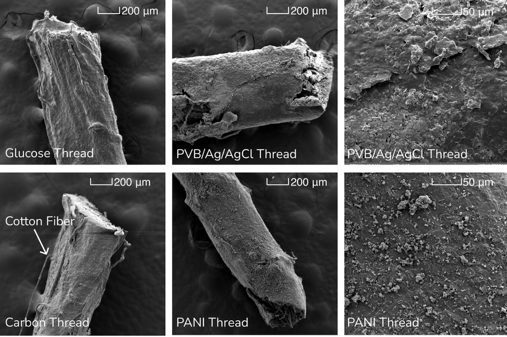 BioWeave — Hybrid Body Lab