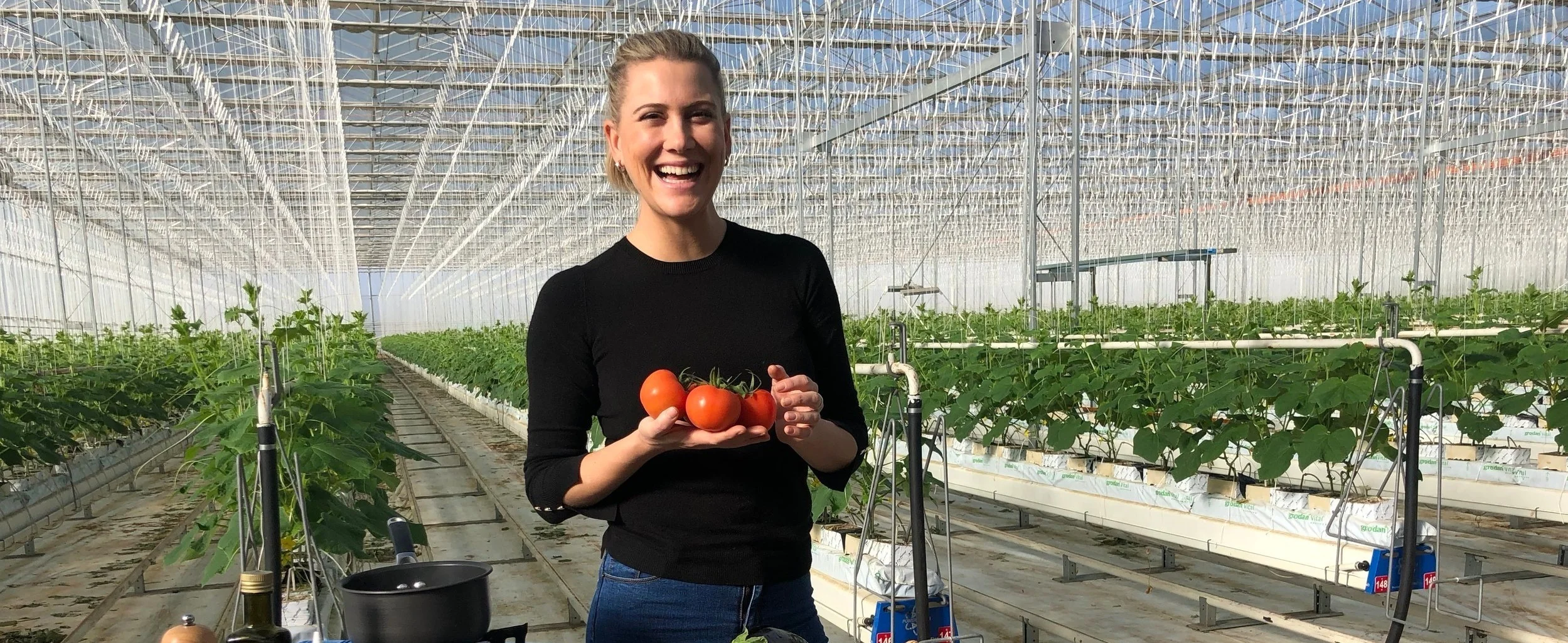 Northern Adelaide Plains