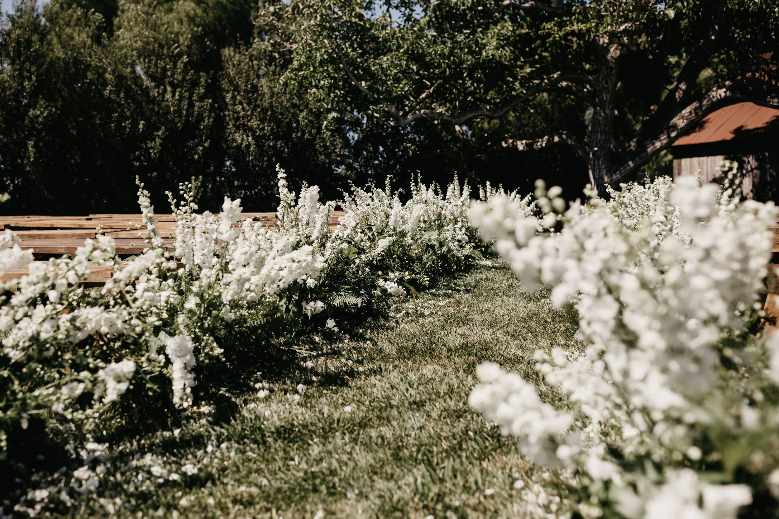 Leanne + Brian Gallery — Greengate Ranch & Vineyard
