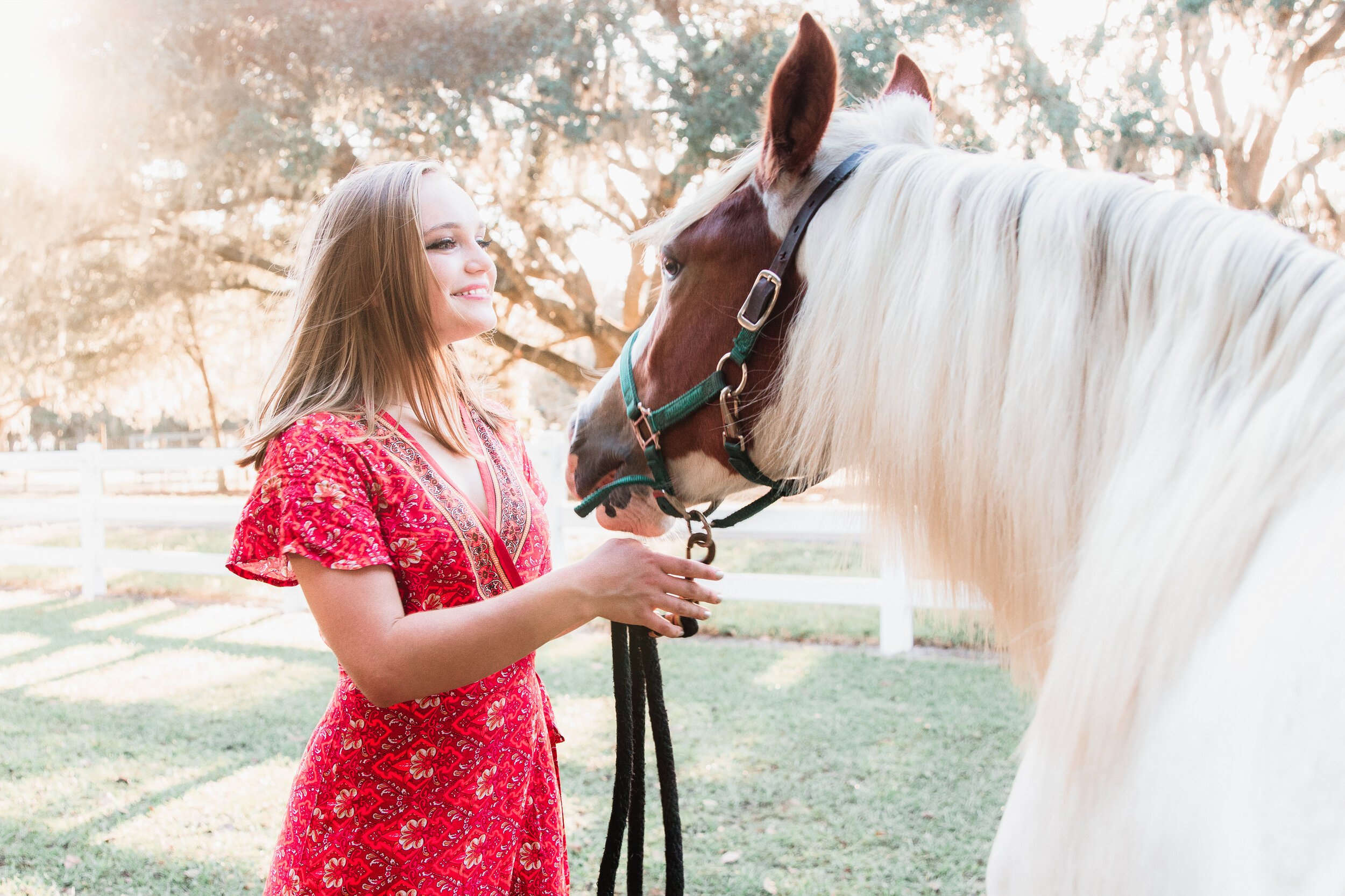 Equine Photography in Myakka, Florida — Jessica Buehler Photography