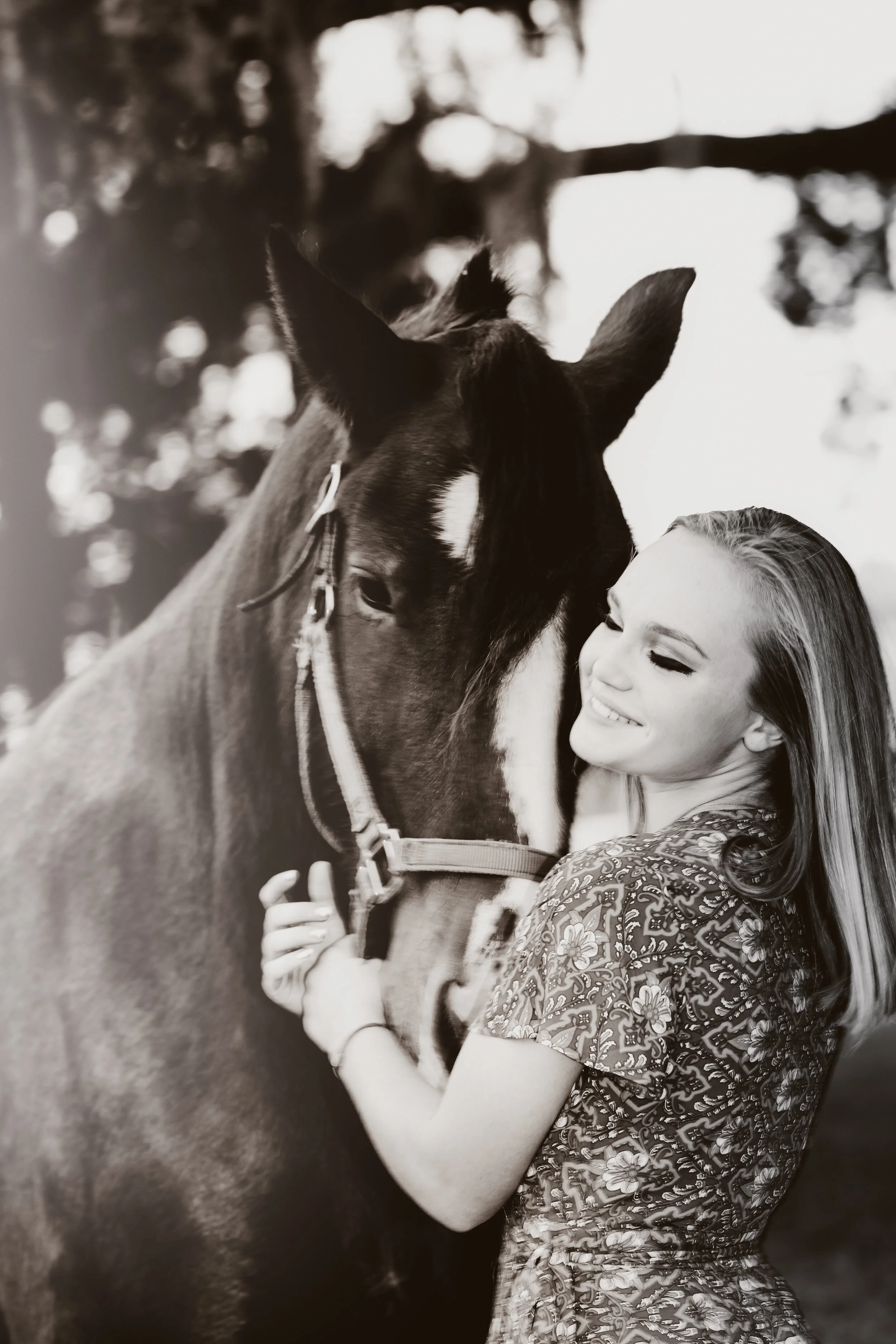 Equine Photography in Myakka, Florida — Jessica Buehler Photography