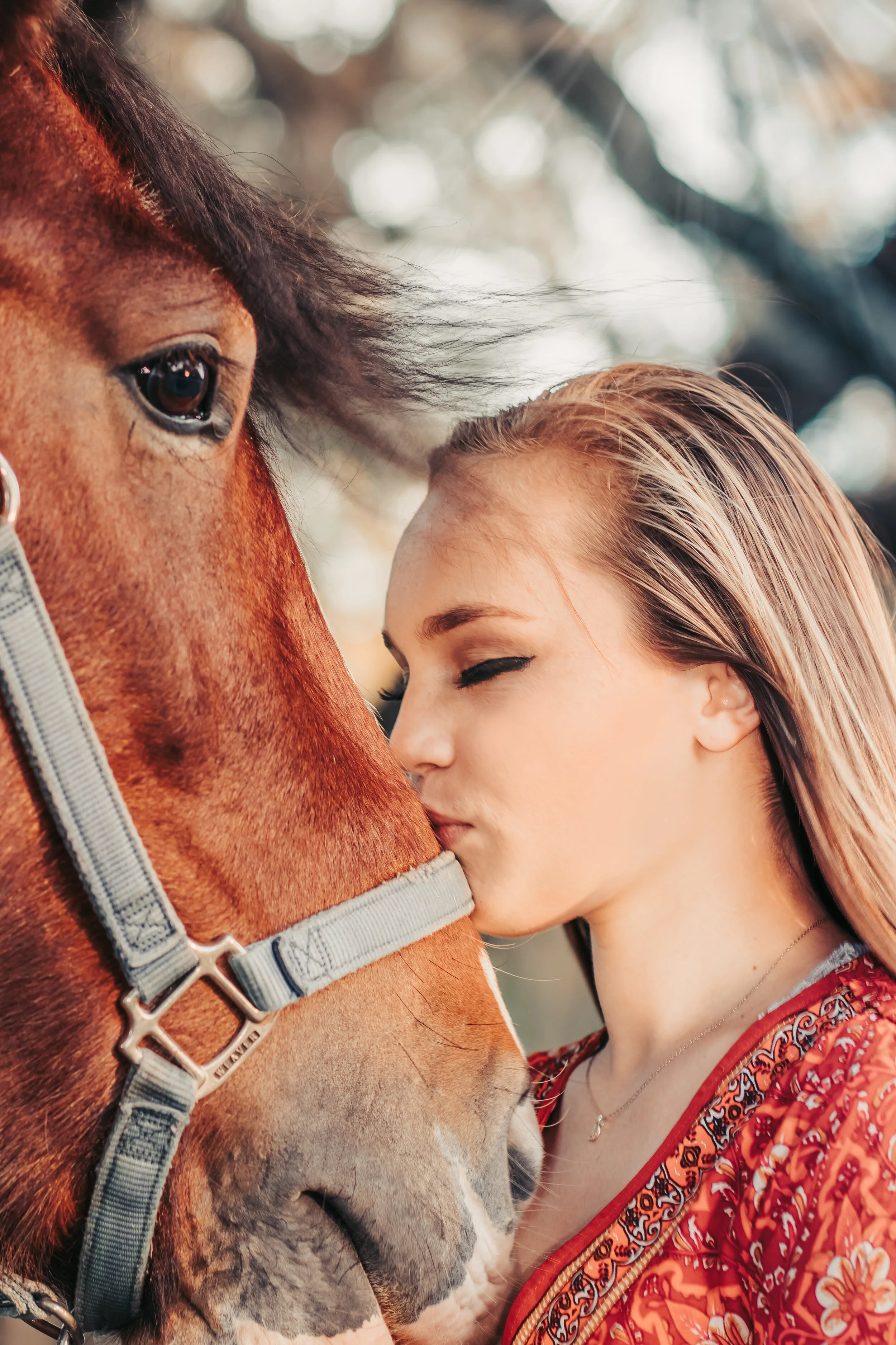 Equine Photography in Myakka, Florida — Jessica Buehler Photography