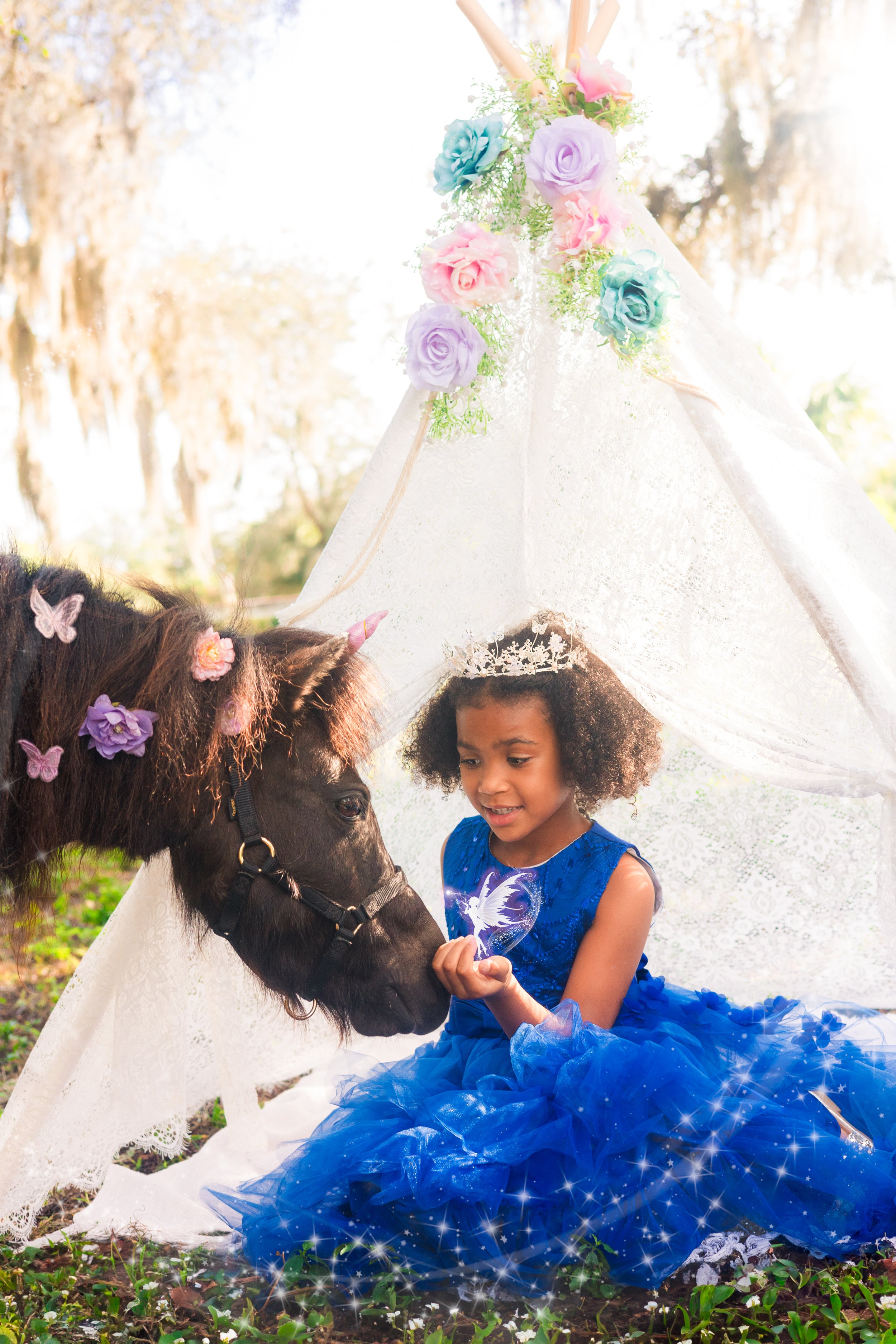 Magical Mini Unicorn Experiences & Photoshoots in Bradenton/Sarasota ...