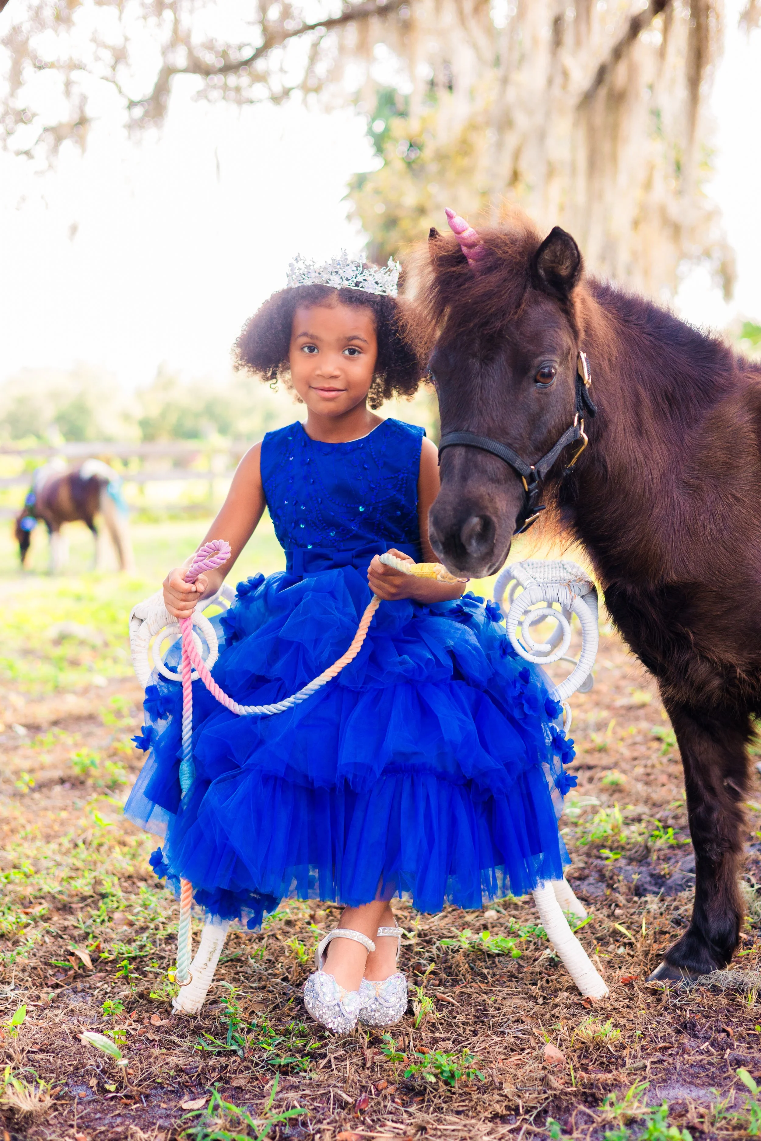 Magical Mini Unicorn Experiences & Photoshoots in Bradenton/Sarasota ...