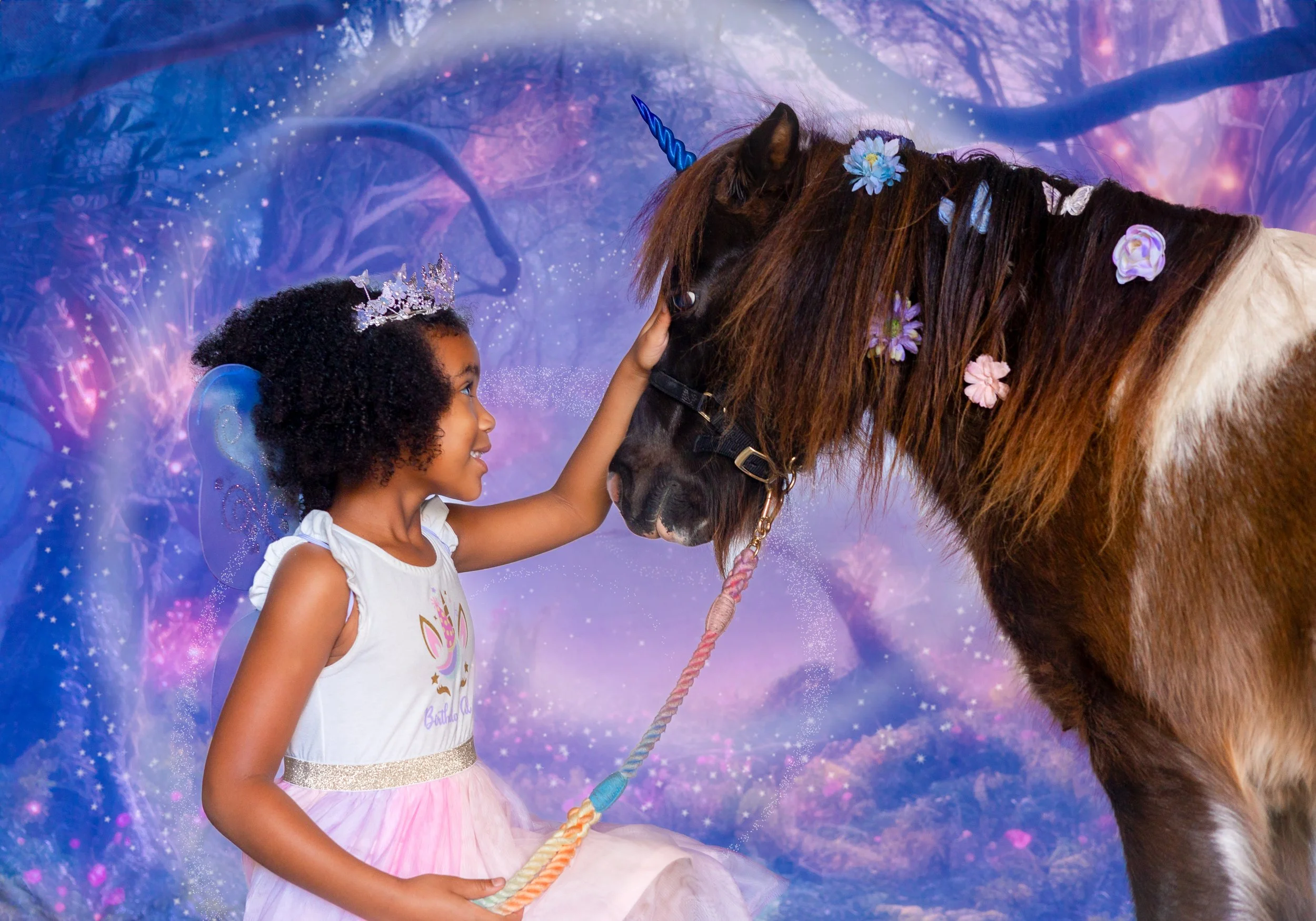 Jessica Buehler Photography