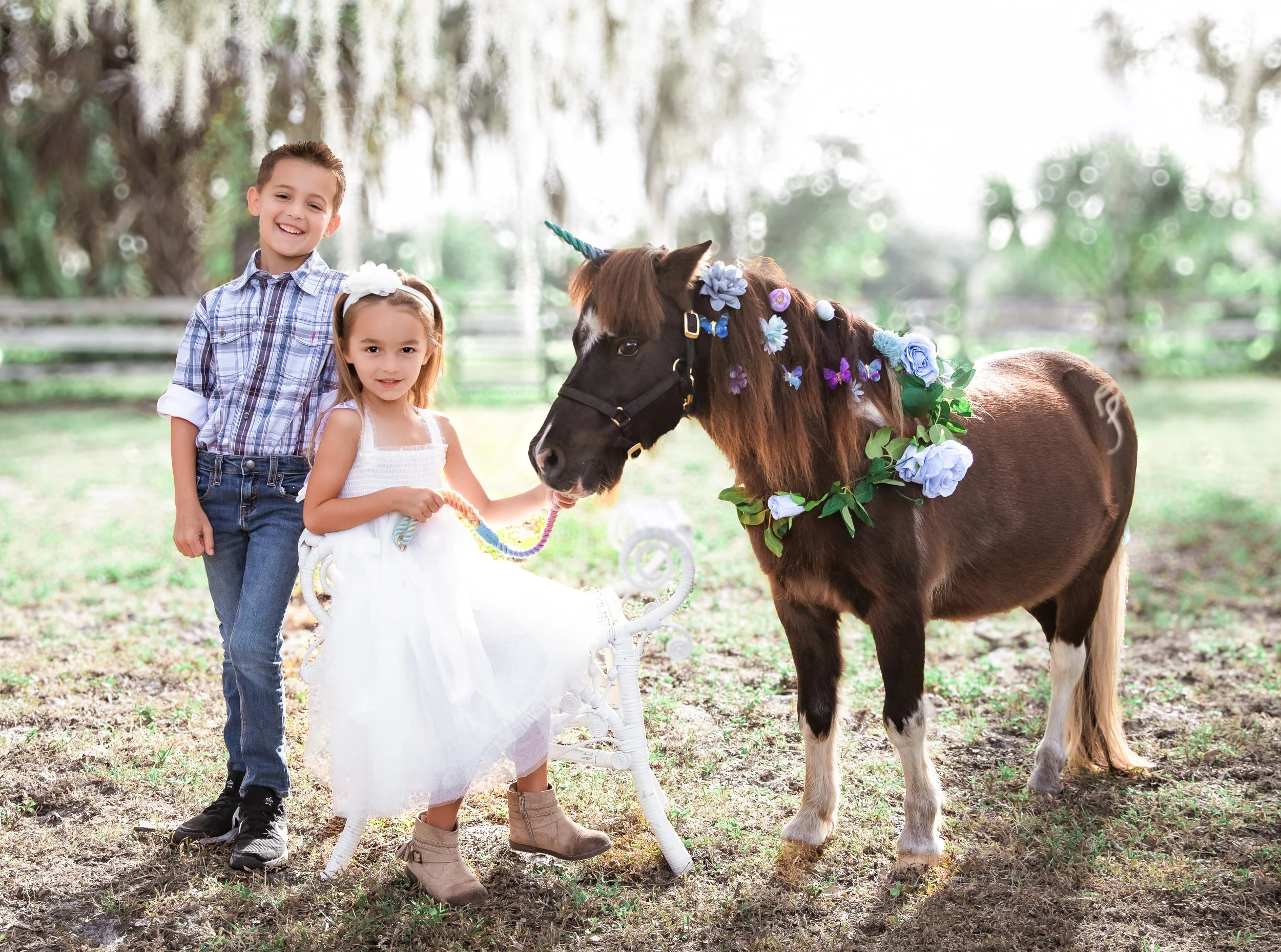 Magical Mini Unicorn Experiences & Photoshoots in Bradenton/Sarasota ...