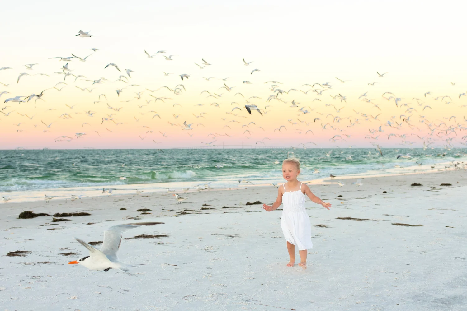 Portraits on the Beach — Jessica Buehler Photography