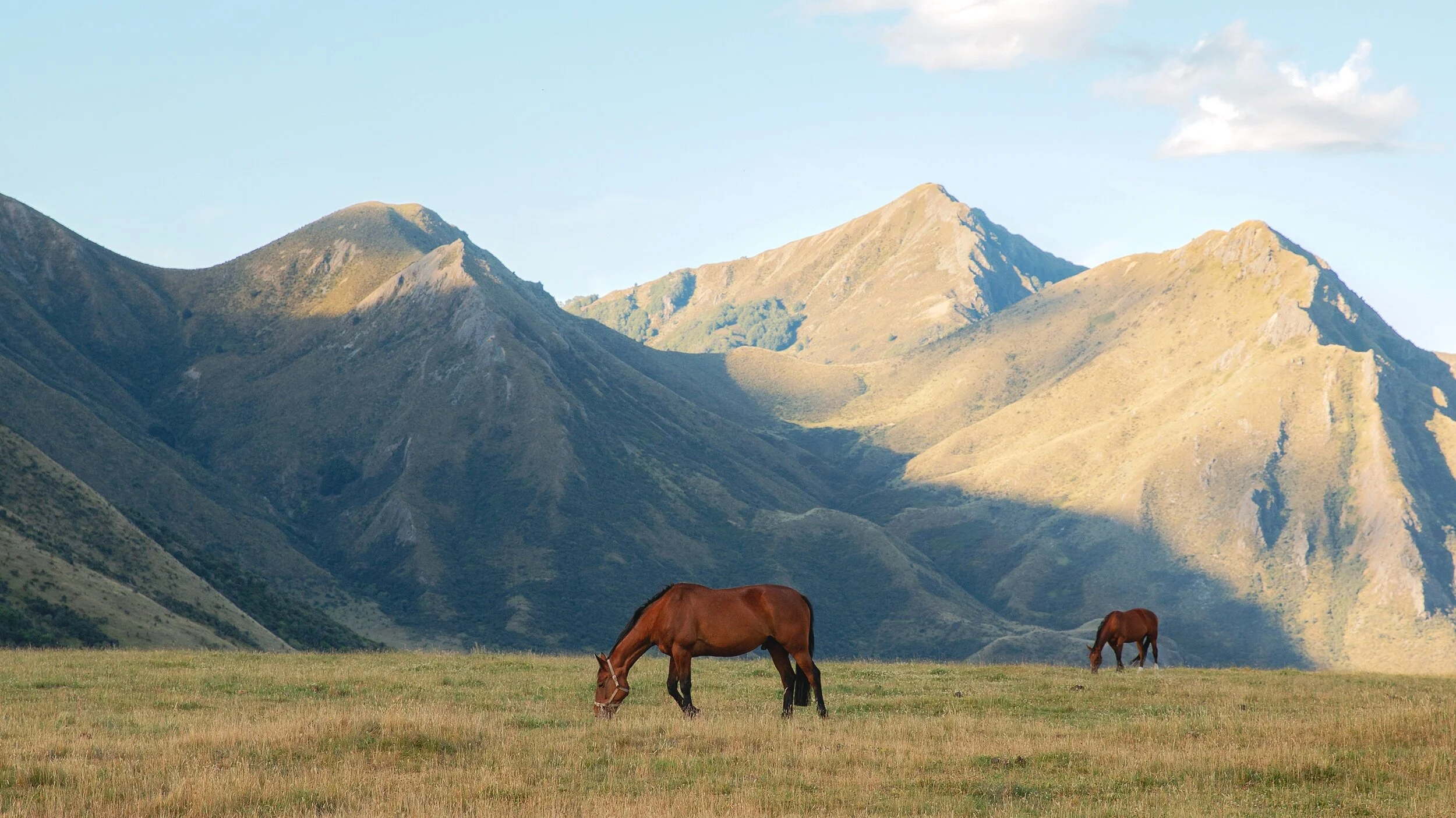 Sebastian Estrada Photography & Video