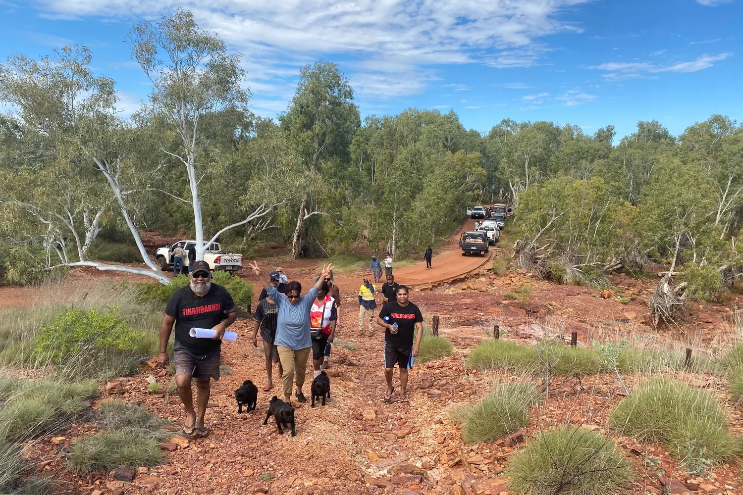 Native Title, Environment and Approvals Experts